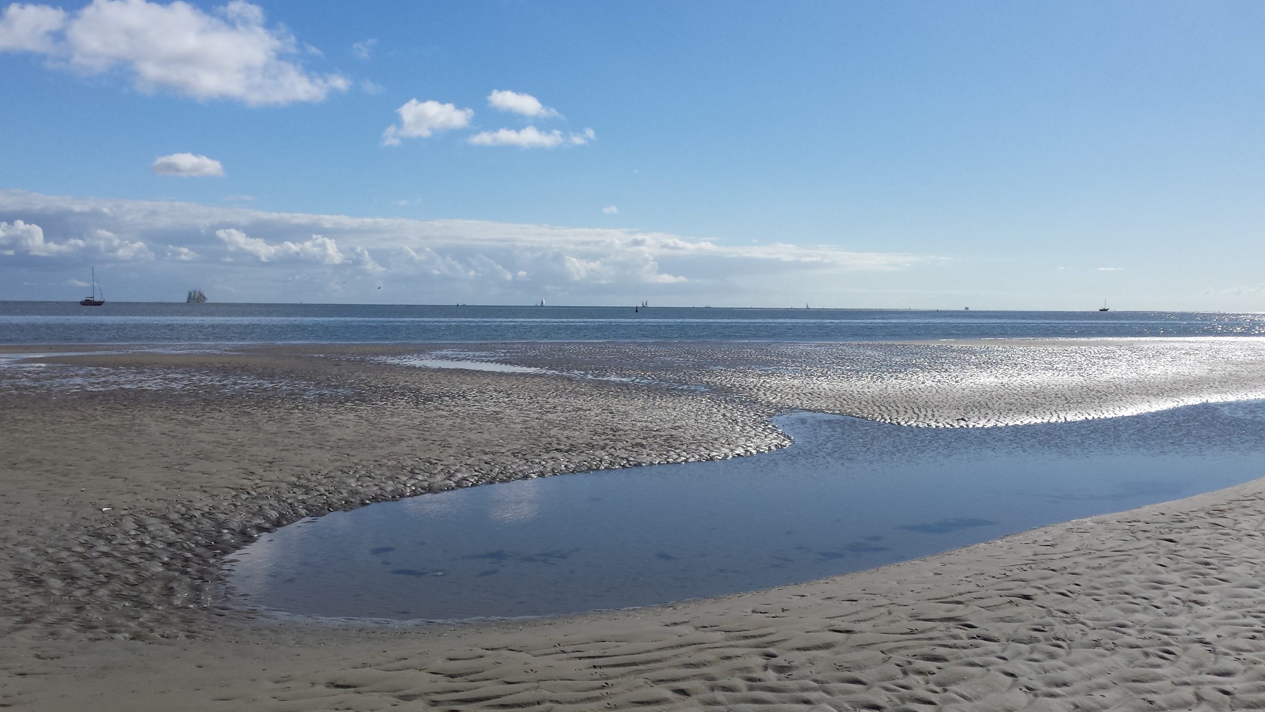 Meer aandacht voor natuurherstel Waddenzee in Waddenfonds - Grienlinks ...